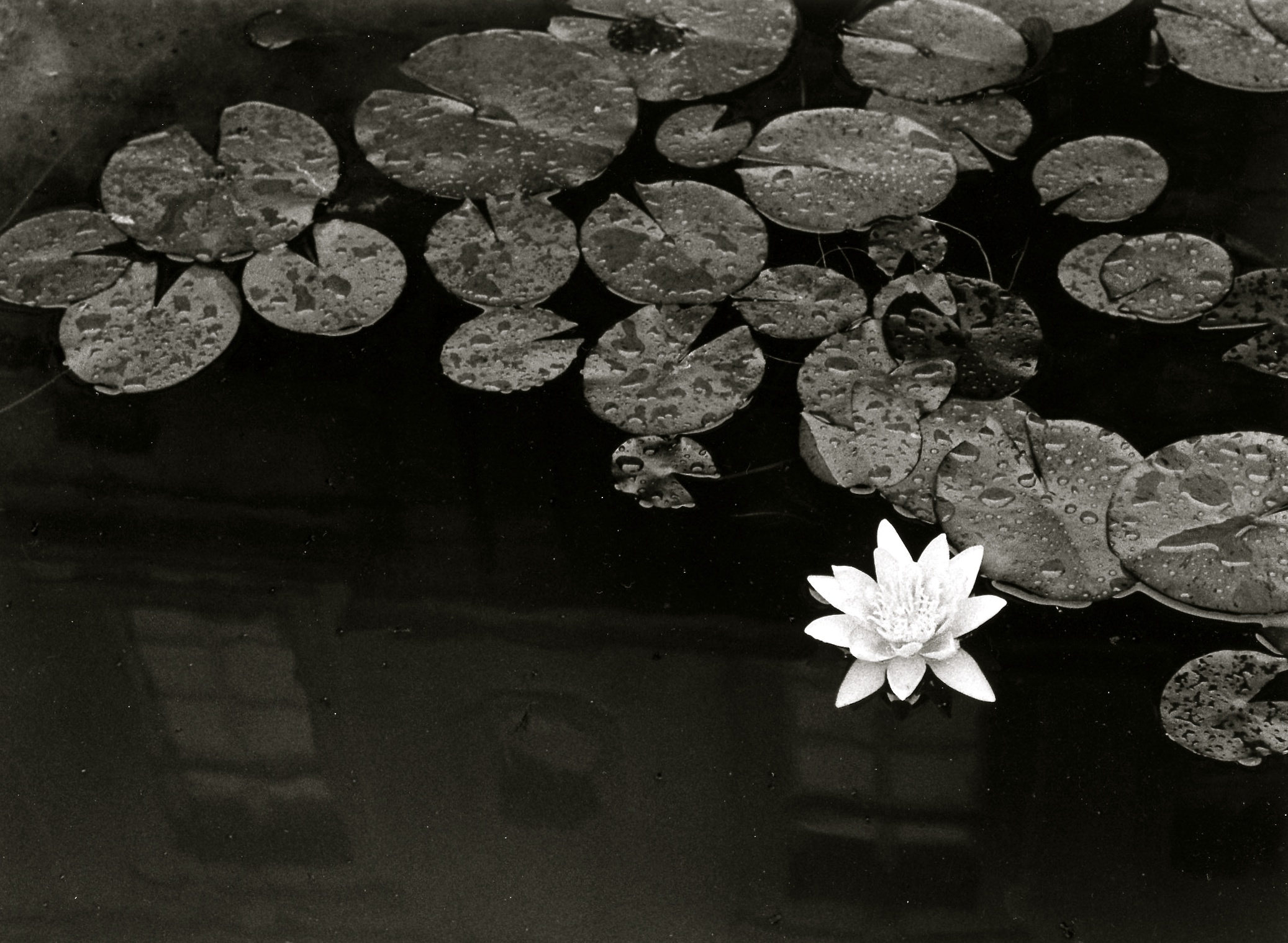 img152_original | Blogfinger