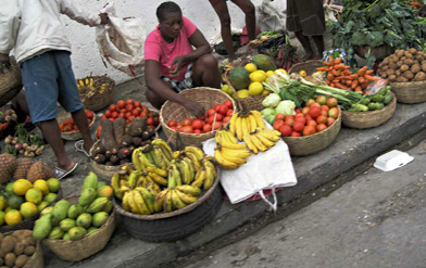 Haiti-Street-fruit-392 vendors back CBC_1_1 | Blogfinger