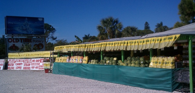 Citrus Fruit Store | Blogfinger