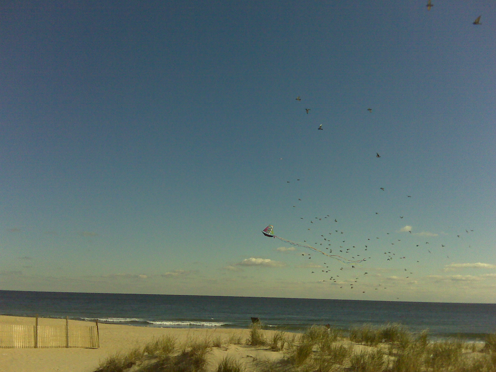 kite photo | Blogfinger