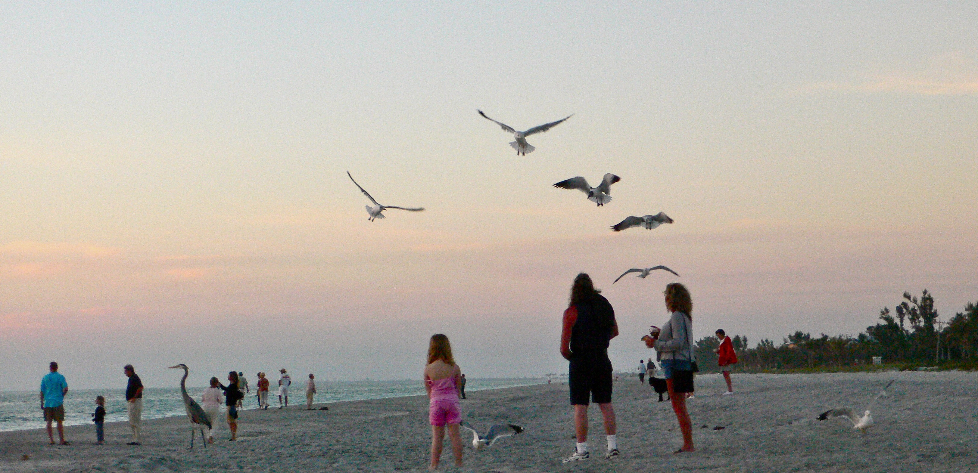 Stranger on the shore……