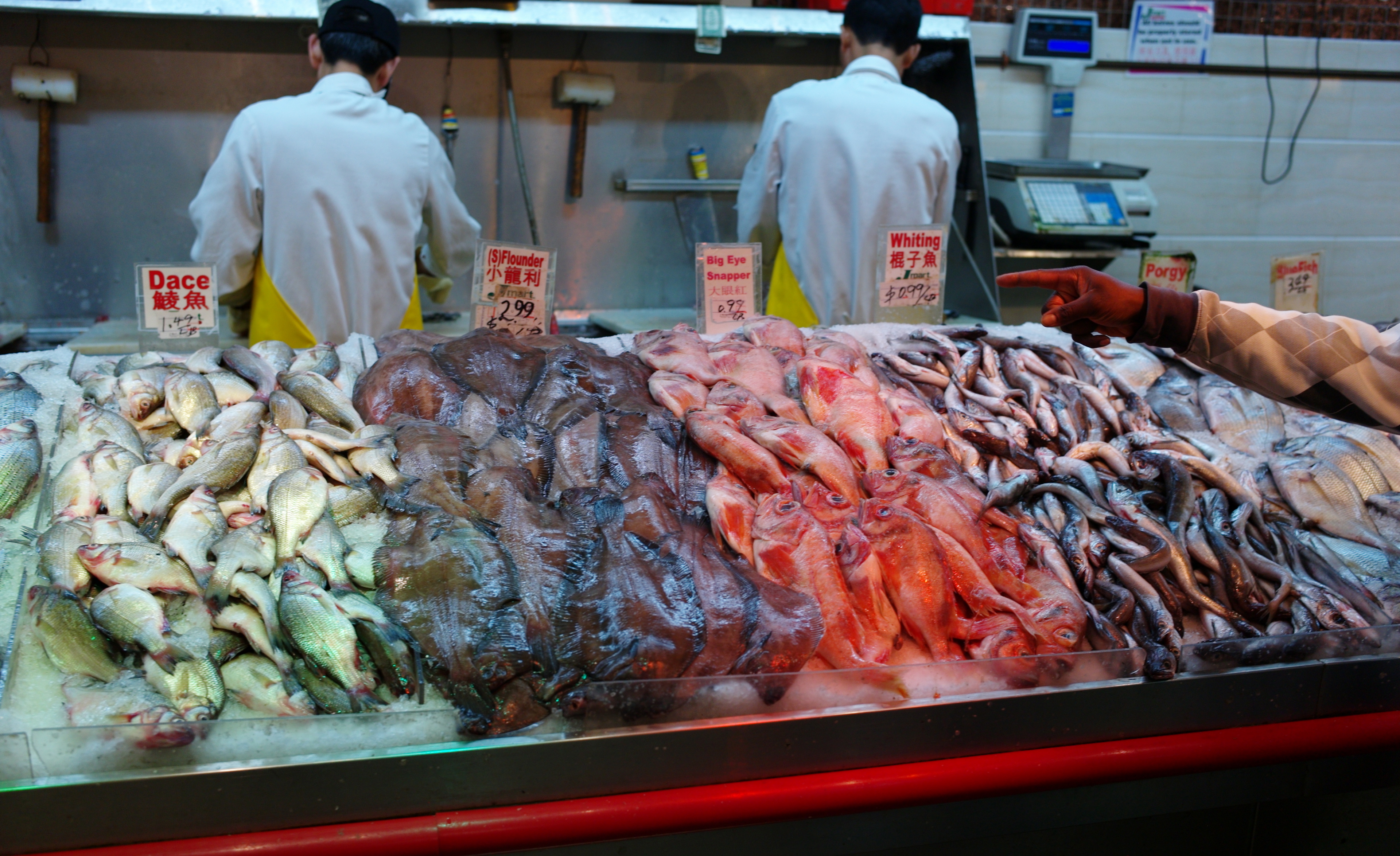 Chinese Market in Flushing, Queens. | Blogfinger
