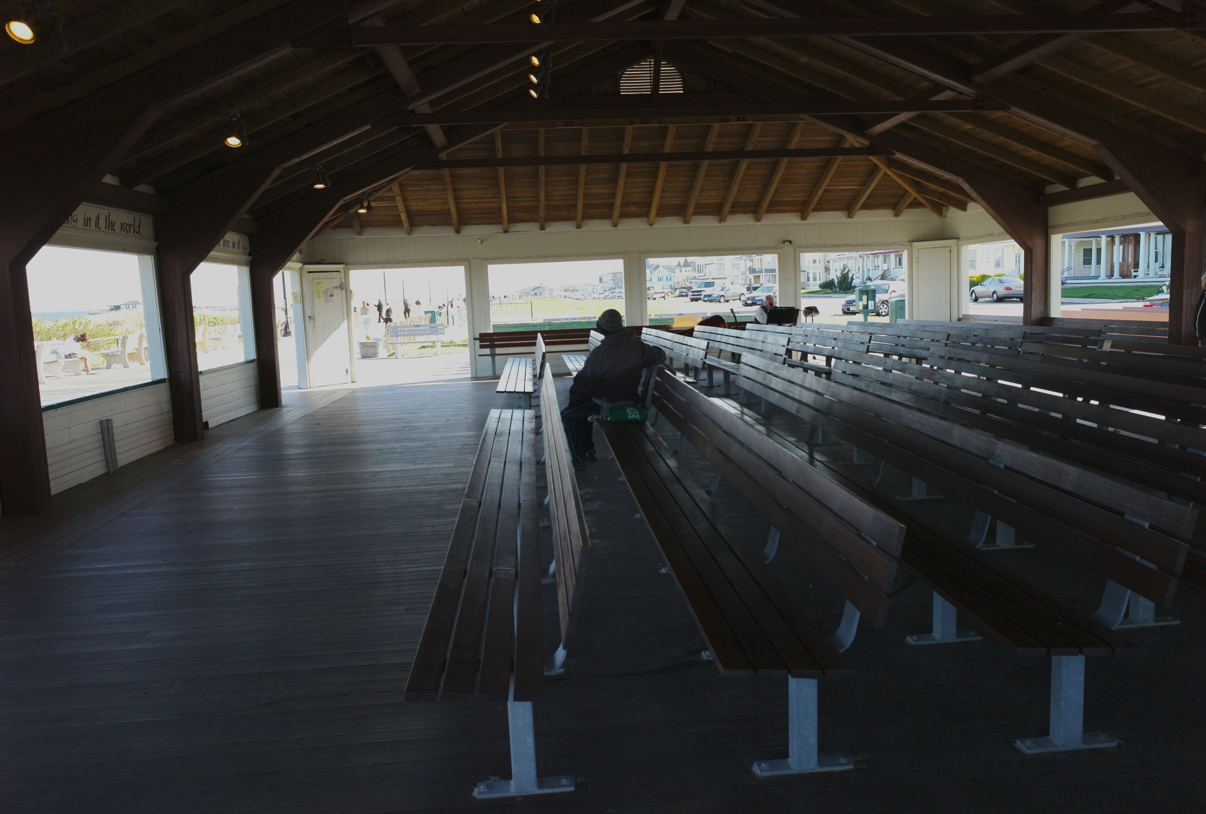 Solitary in the Grove