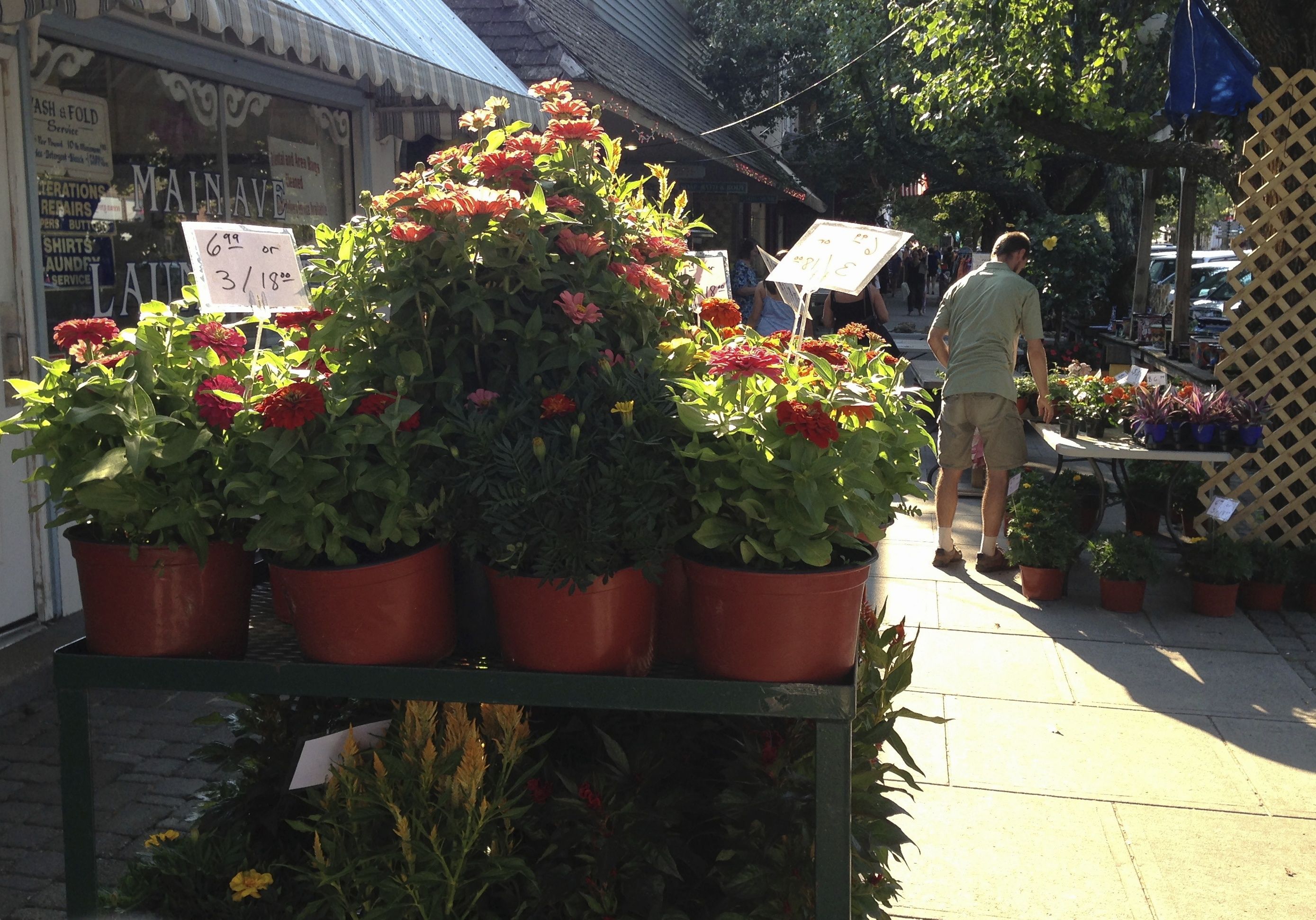 Modern OG history: Main Avenue florist. August, 2013. | Blogfinger