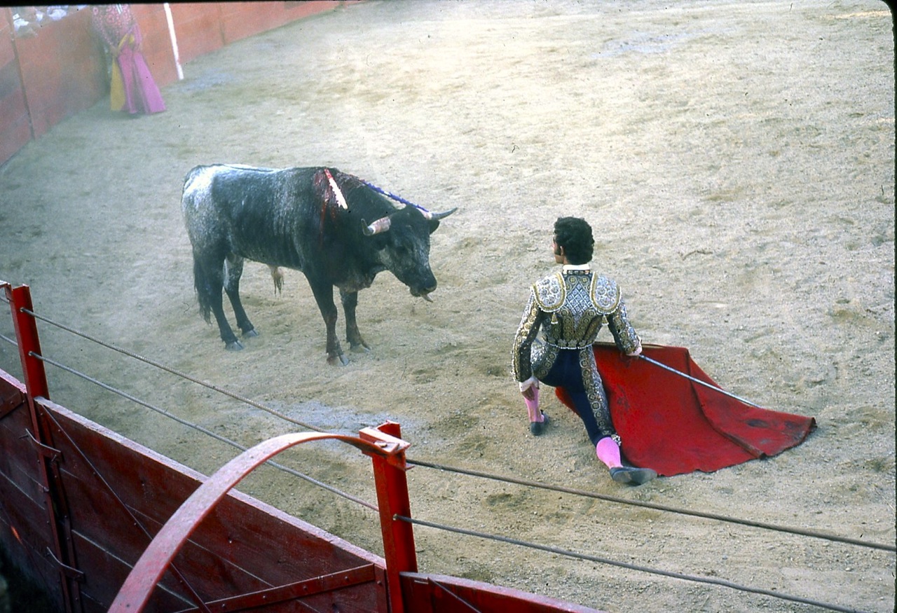 Home of the Brave | Blogfinger