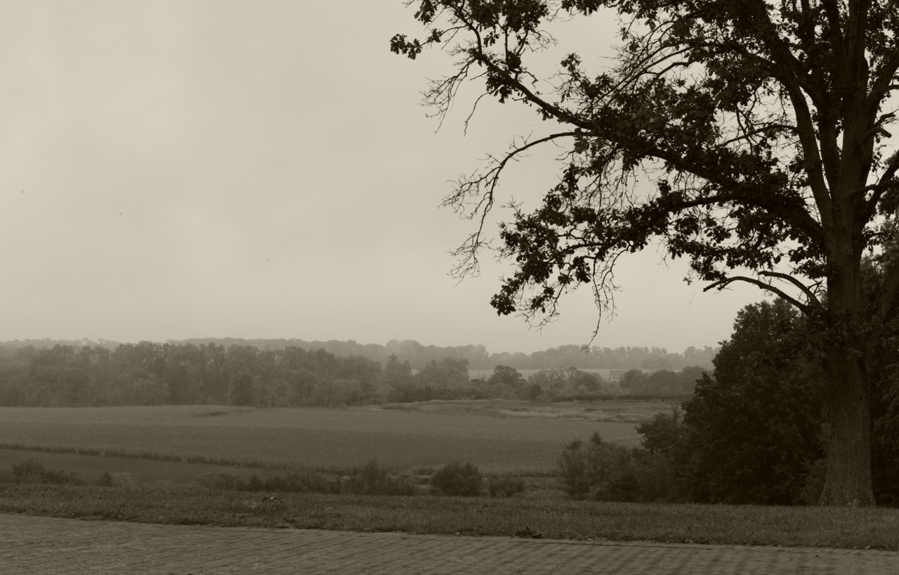 The Battle of Monmouth. 1778. | Blogfinger