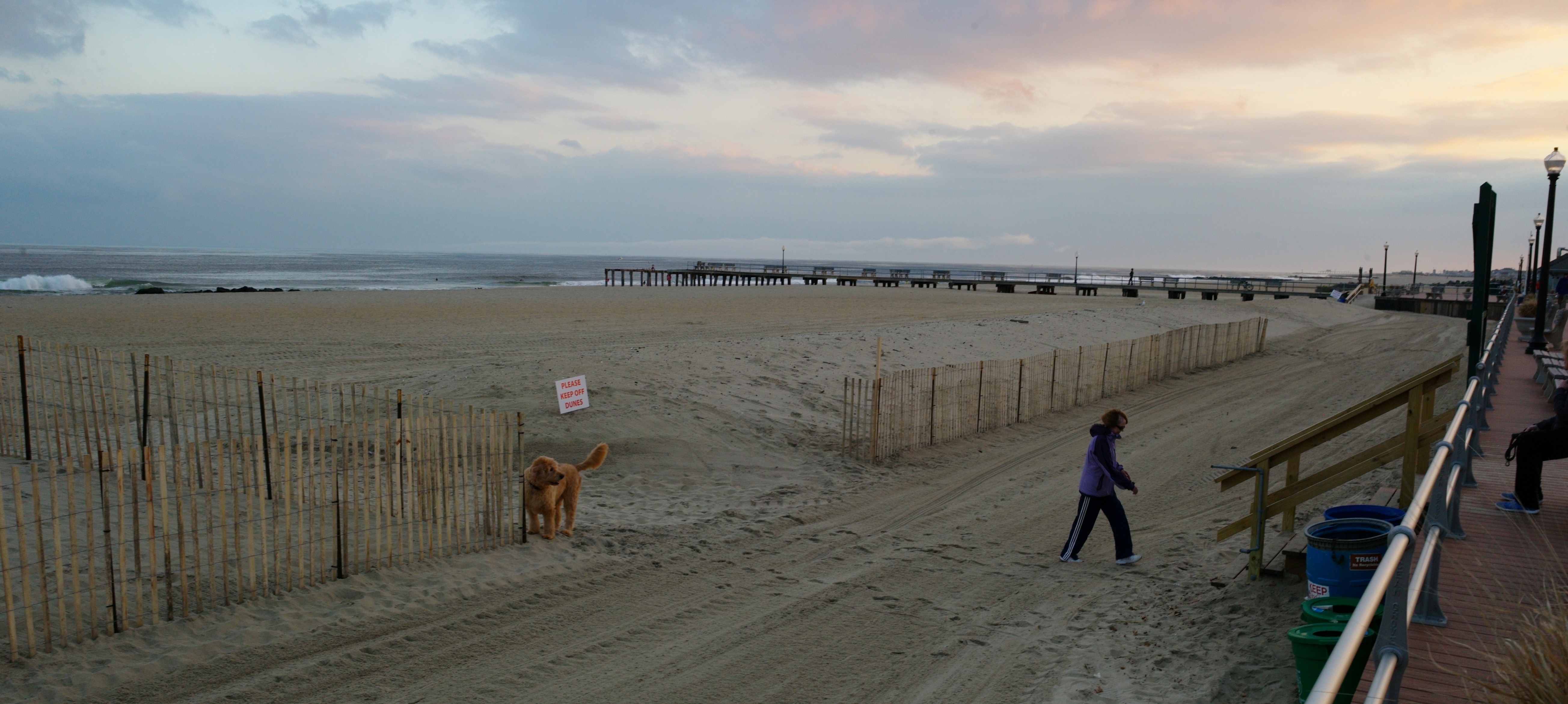 dune dog | Blogfinger