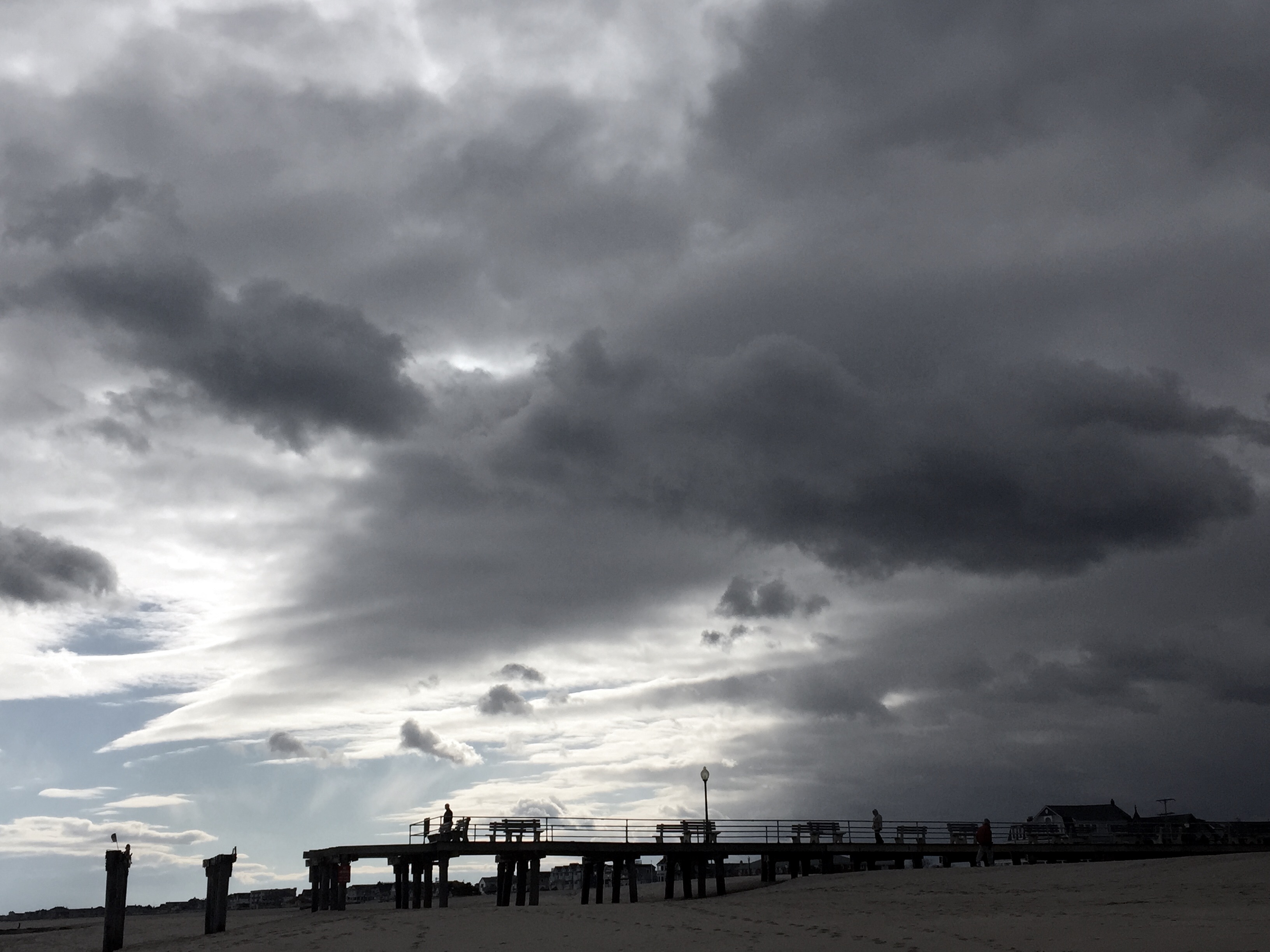 Monday— a cold beach day in the Grove | Blogfinger