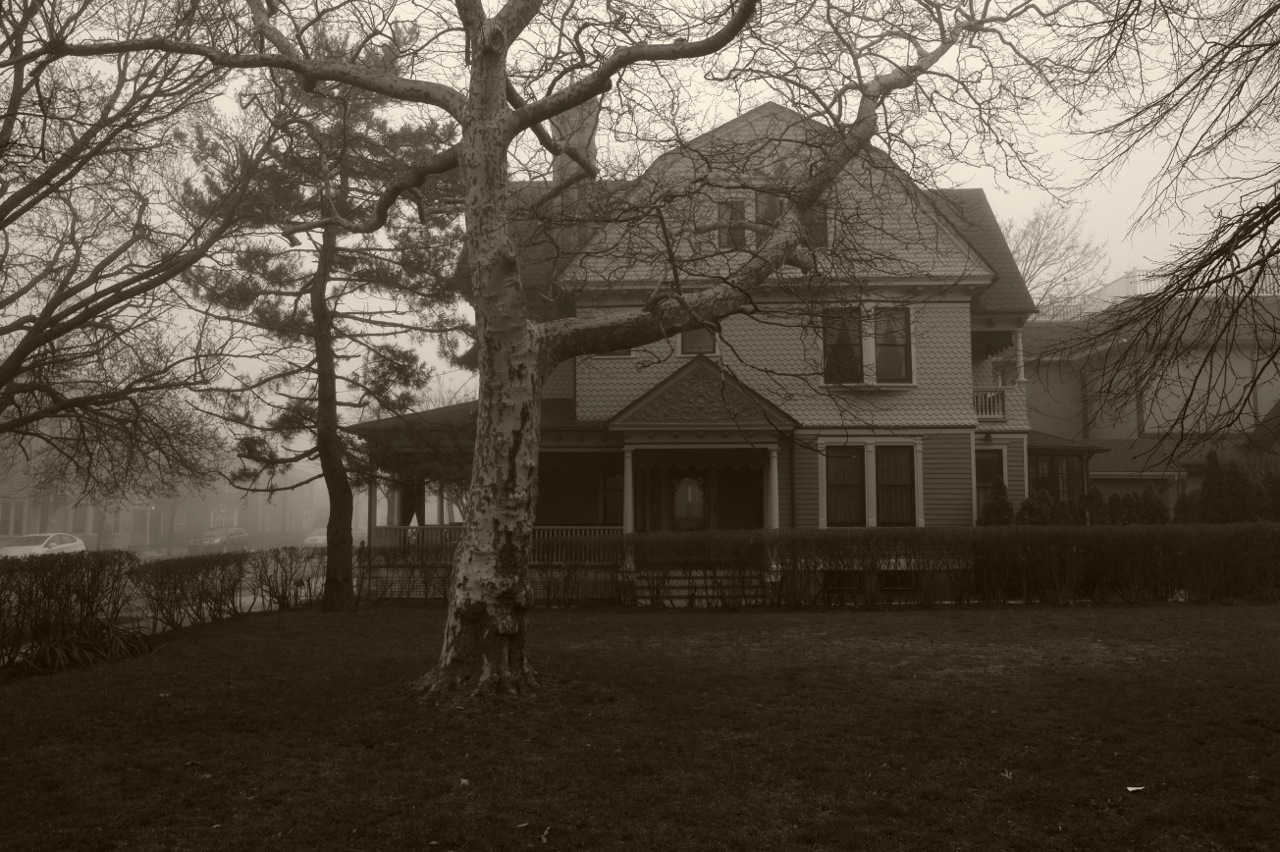 house fog | Blogfinger