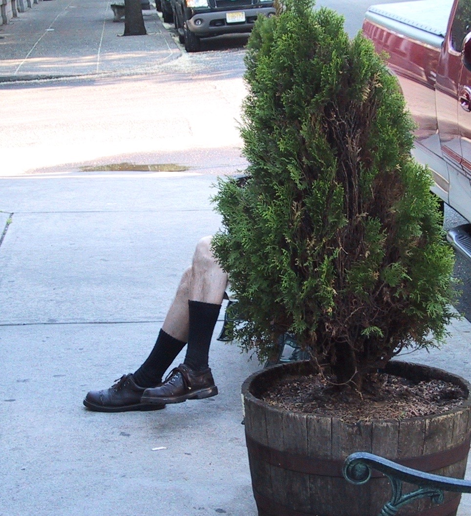 Ocean Grove bush man. | Blogfinger