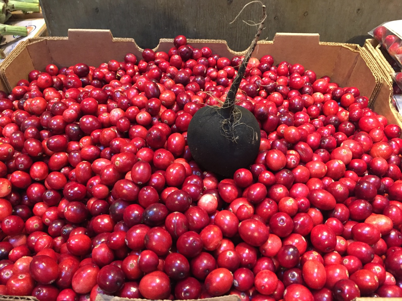 Memorable contests: BF “Name That Vegetable” contest. (Pat George wins ...