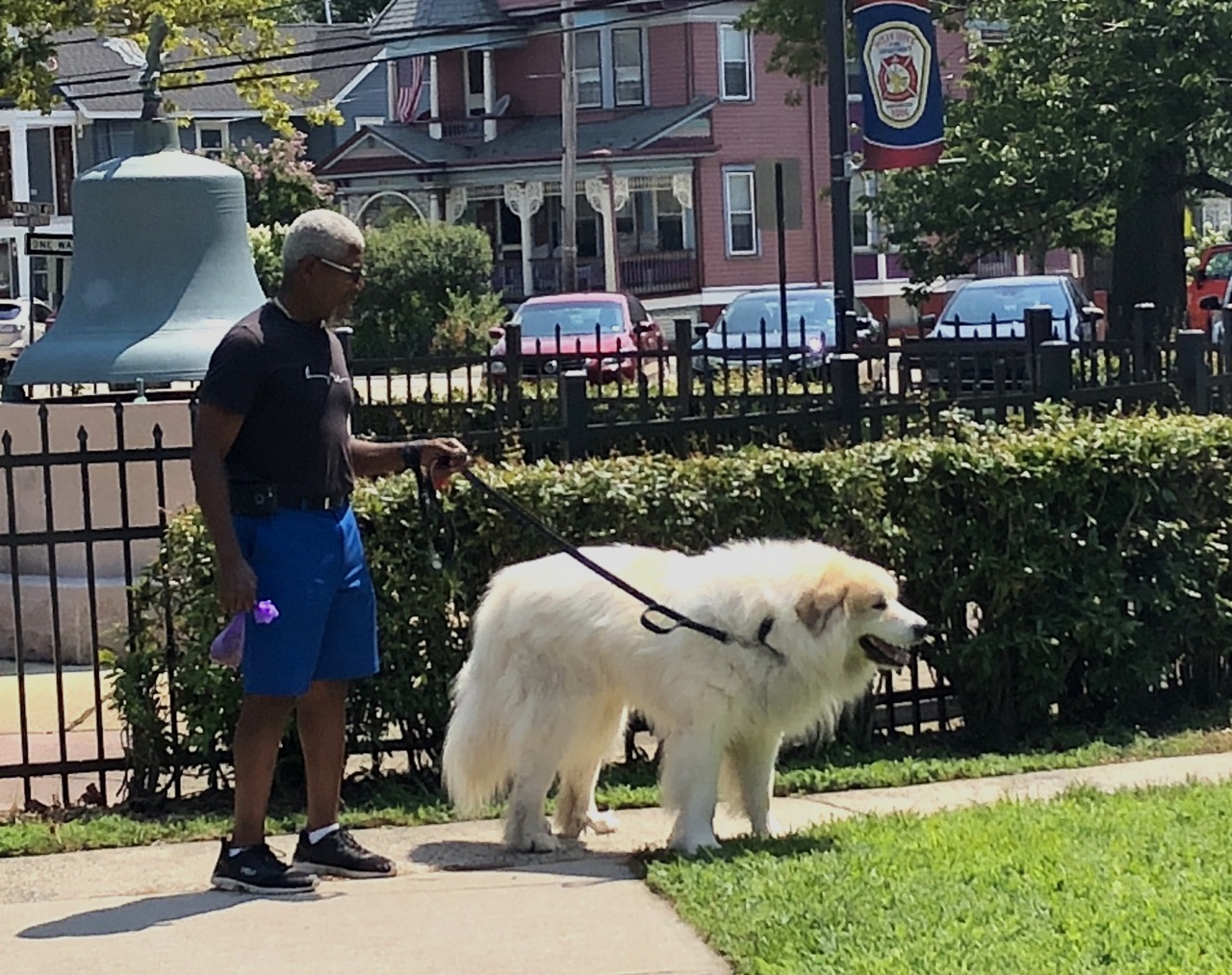 Great Pyrenees spotted in the mountains* | Blogfinger
