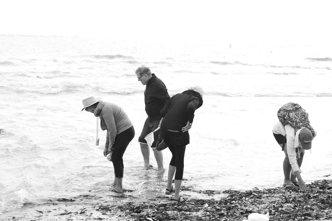 Shelling at Sanibel Island…. | Blogfinger