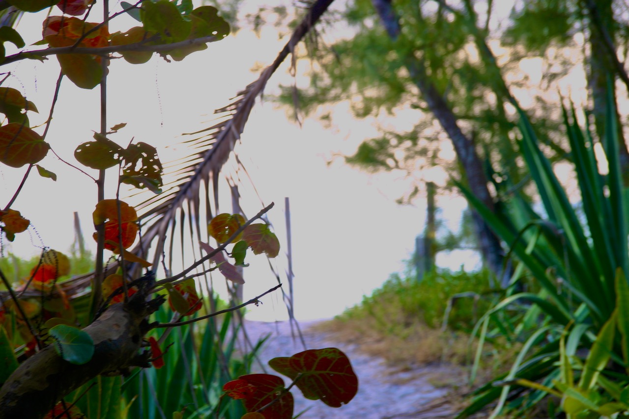 Sandy path…. | M