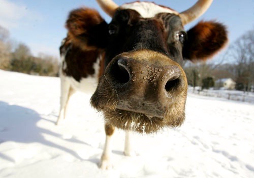 WASSUP?? Ocean Grove Feb 27, 2022 | Blogfinger